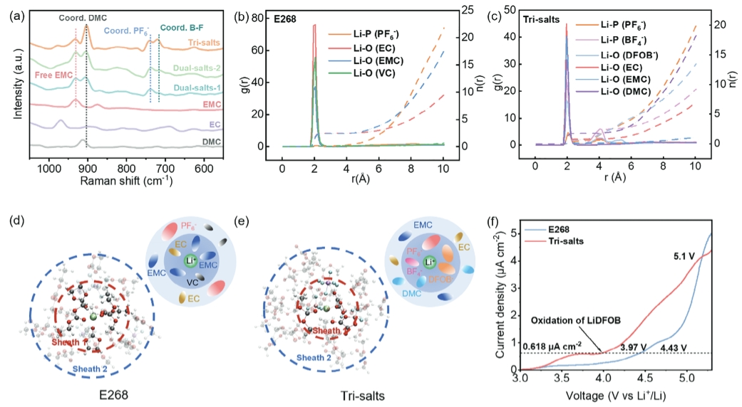 2024-潘锋教授课题组